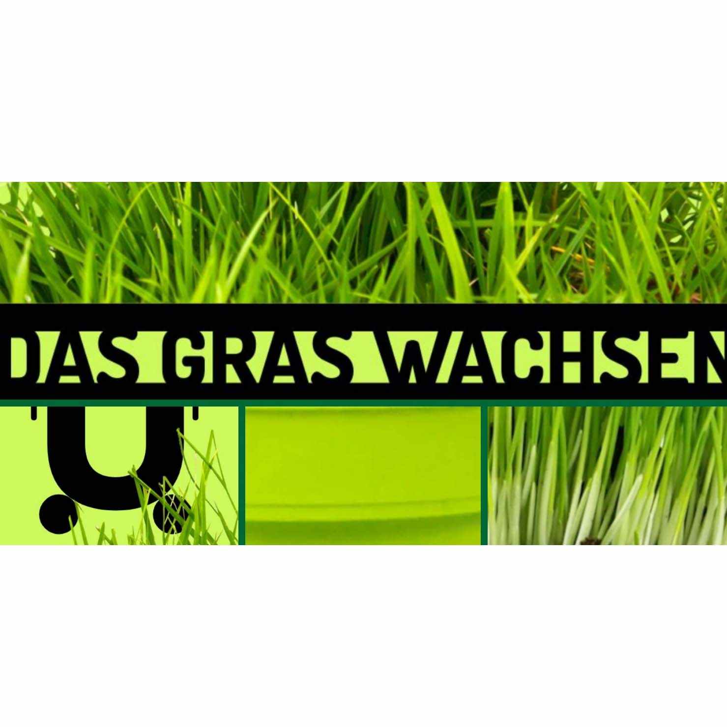 DAS GRAS WAcHSEN HÖREN | Kreativgebremst - isarschatz.com